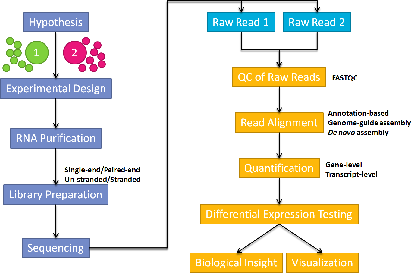 Ngs Data Analysis Workflow Computing For Next Generation
